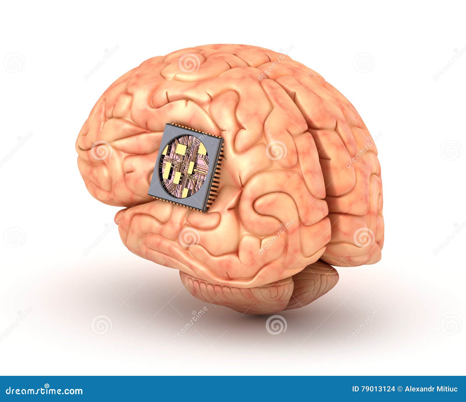 Human Brain with Computer Chip Stock Illustration - Illustration of ...