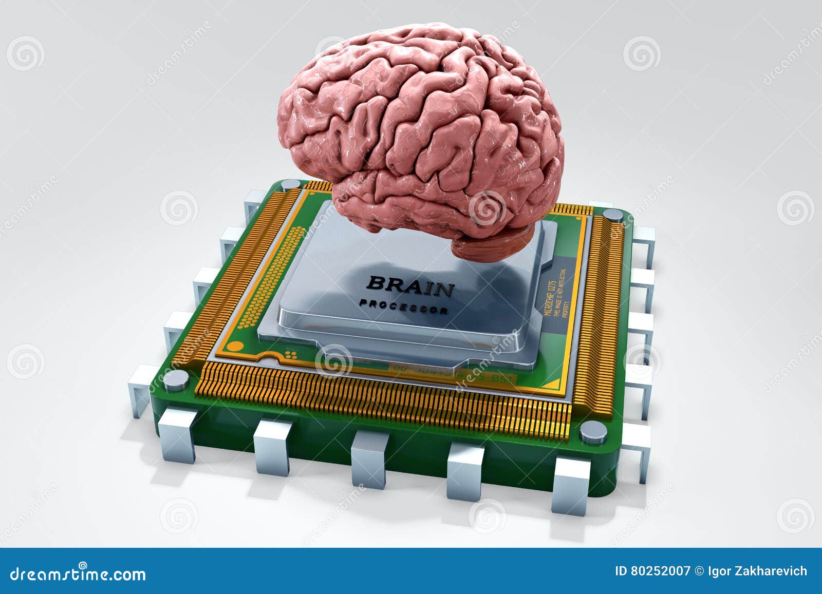 Human Brain with Computer Processor Stock Illustration - Illustration ... Human Brain with Computer Processor Stock Illustration - Illustration ...