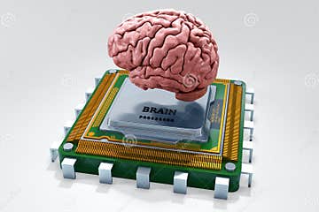 Human Brain with Computer Processor Stock Illustration - Illustration ...