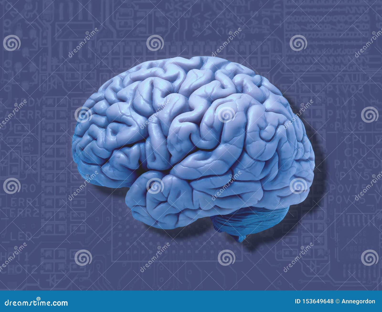 Human Brain and Computers Connect Stock Illustration - Illustration of ...