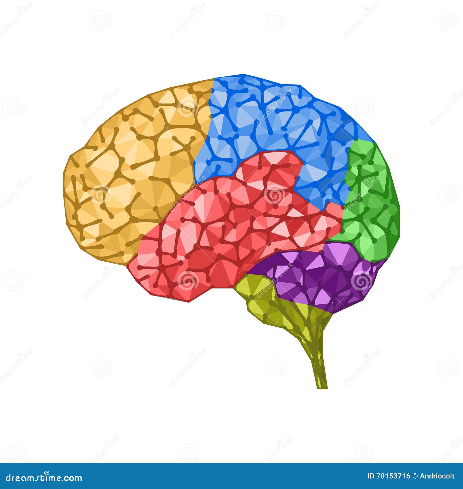 Human brain concept stock vector. Illustration of sign - 70153716