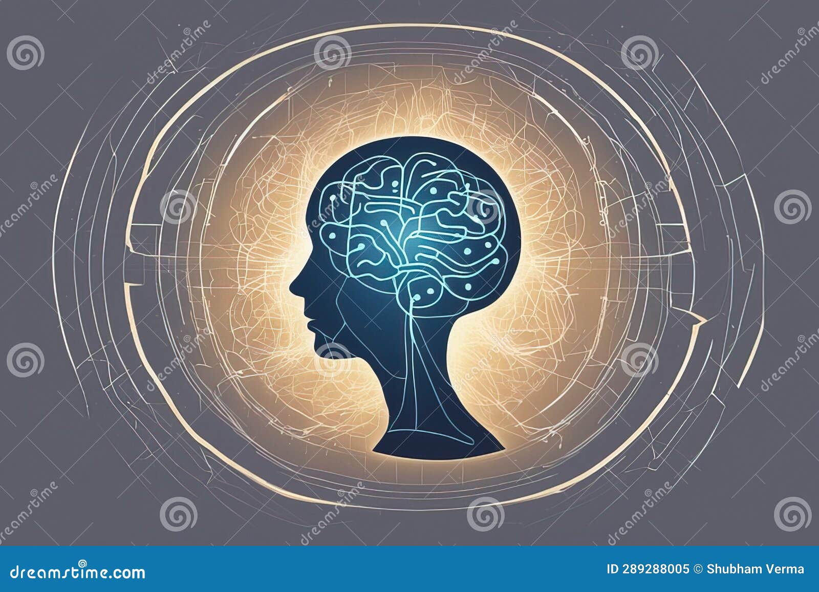 Human Brain with Connected Lines. Vector Illustrationhuman Brain with ...