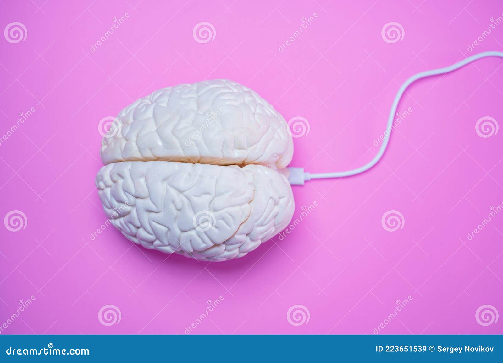 Human Brain Connected with USB Wire Cord Concept Stock Image - Image of ...