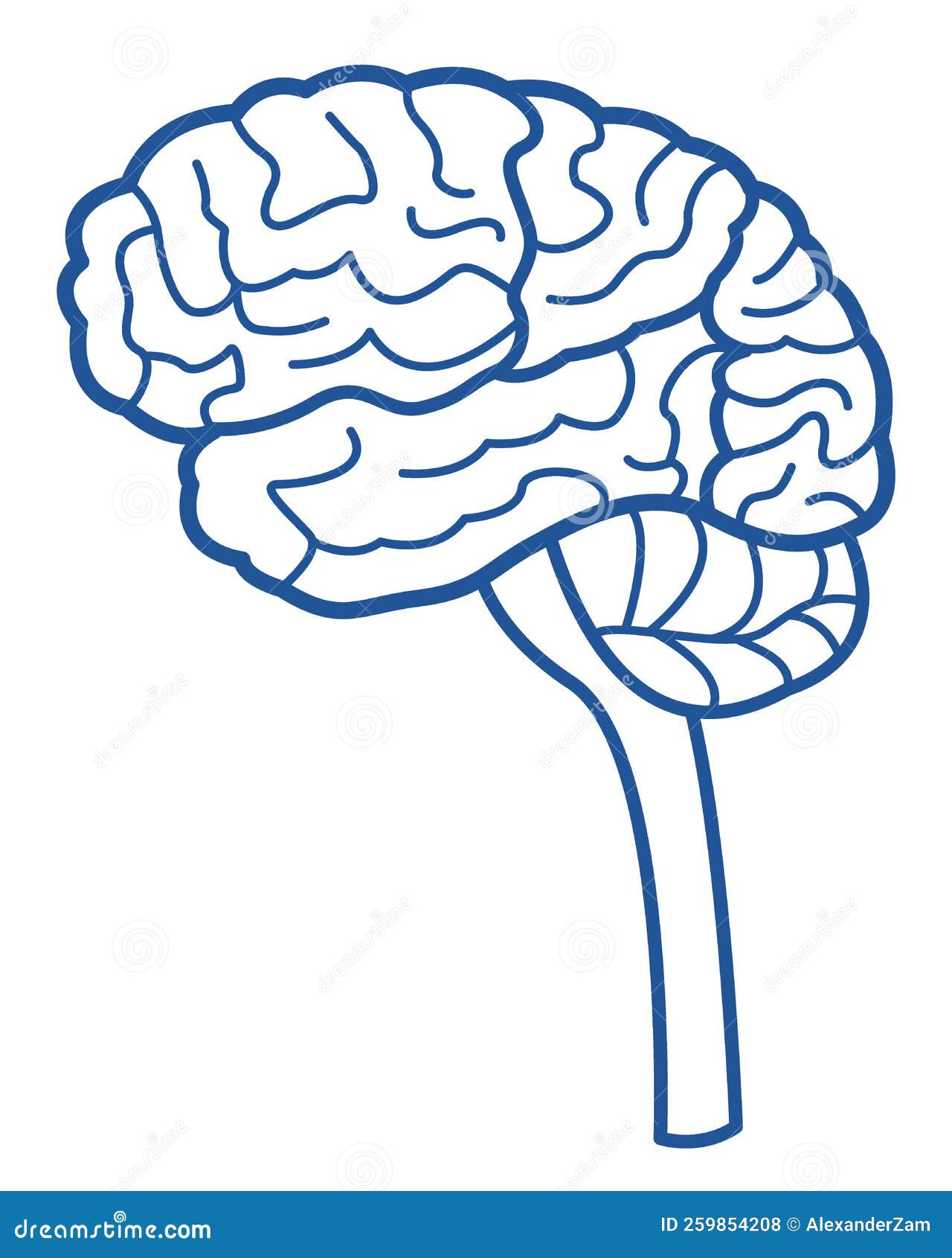 Human brain contour icon stock vector. Illustration of design - 259854208