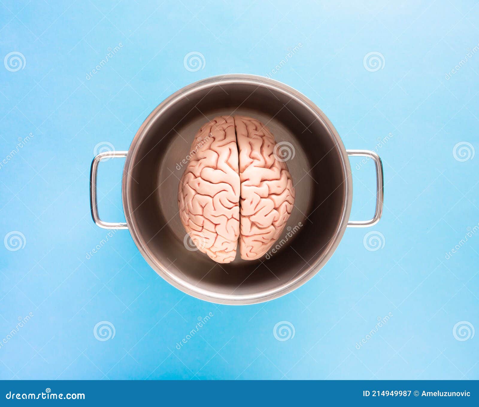 A Human Brain in a Cooking Pot on a Light Blue Pastel Background. Flat ...