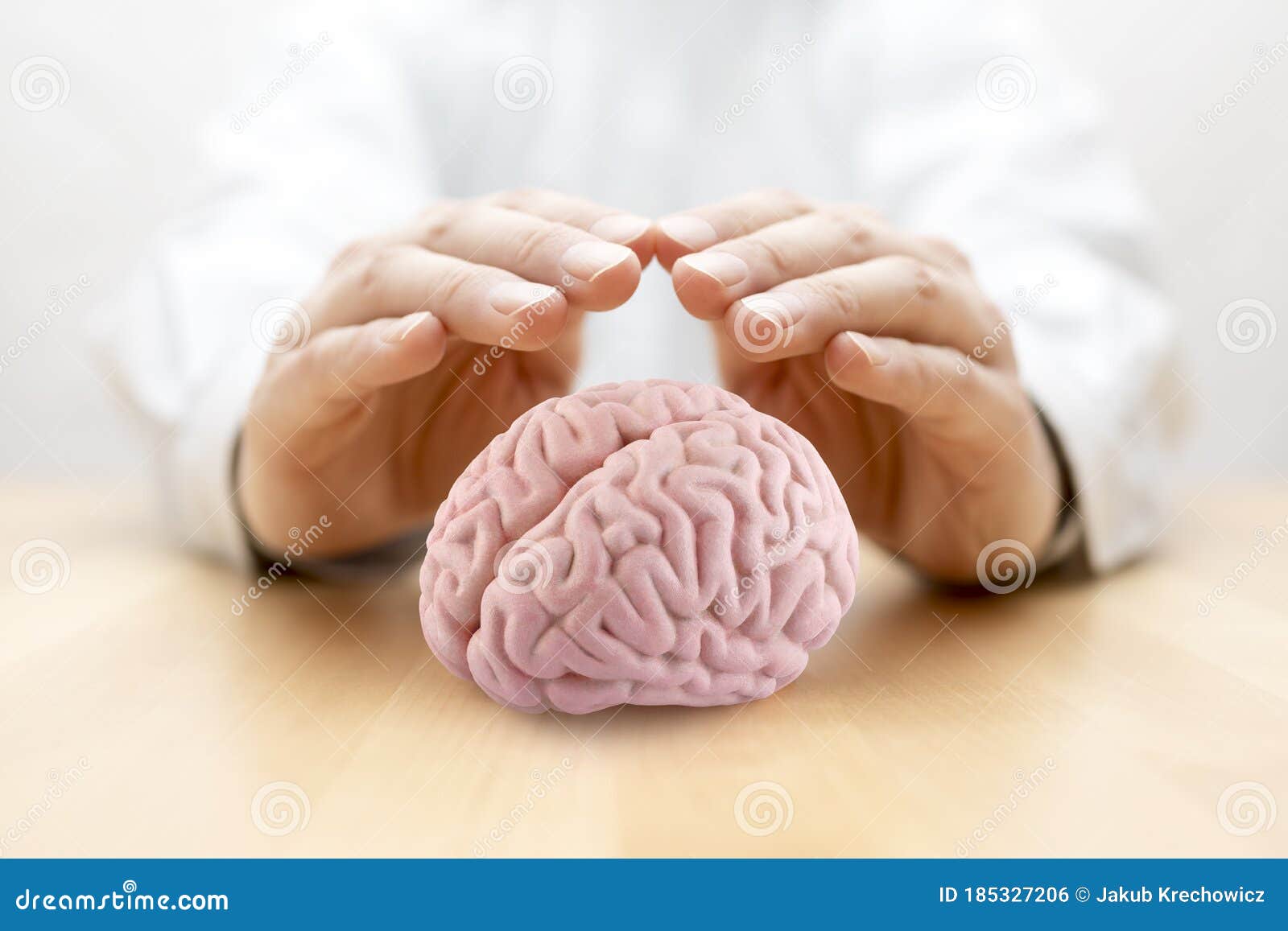 Human Brain Covered by Hands Stock Photo - Image of intelligence ...