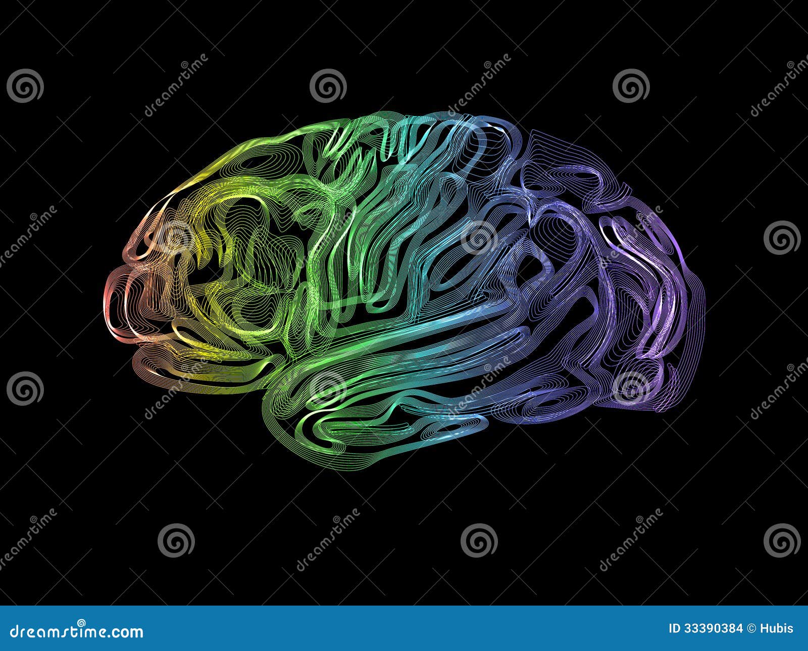 Human Brain Inside Anatomy Royalty-Free Stock Photography ...