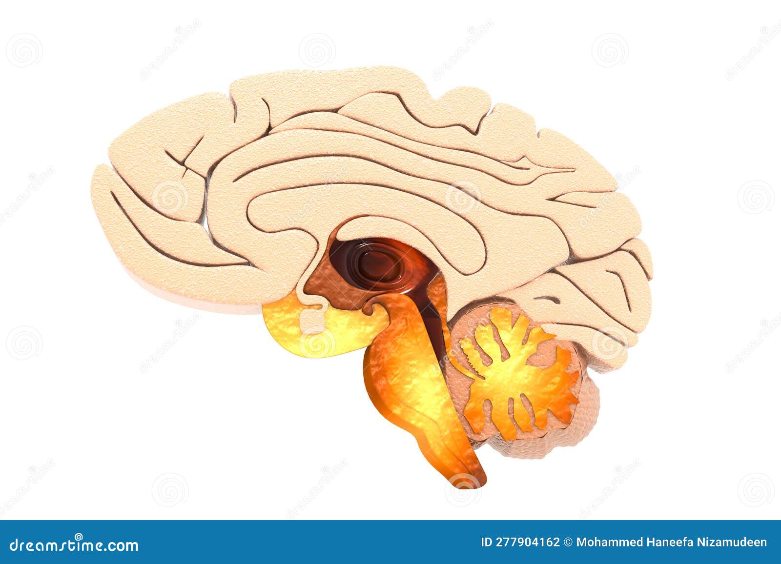 Brain With Cross Checkmark Colored Icon. Diseased Internal Organ Symbol ...
