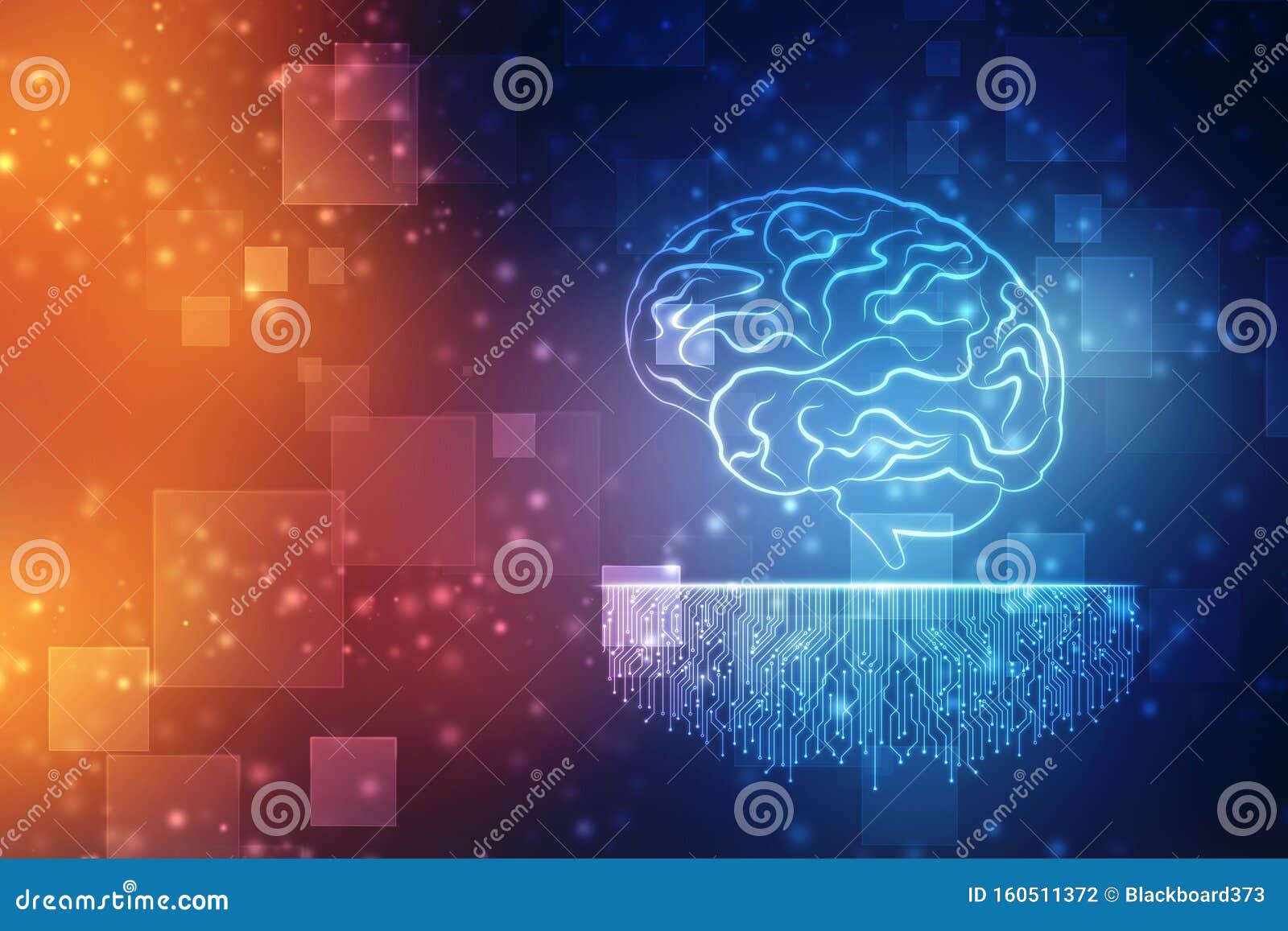 Digital Illustration of Human Brain Structure, Creative Brain Concept ...