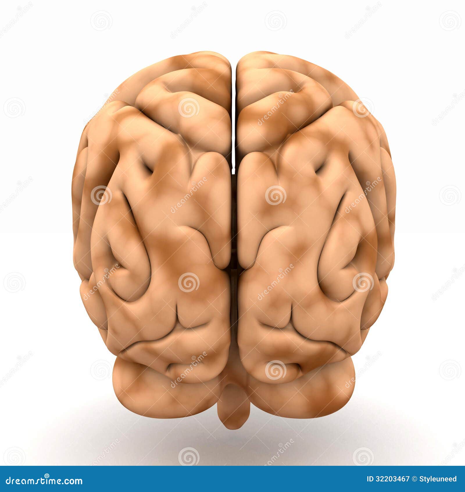 Human brain stock illustration. Illustration of illustrated - 32203467