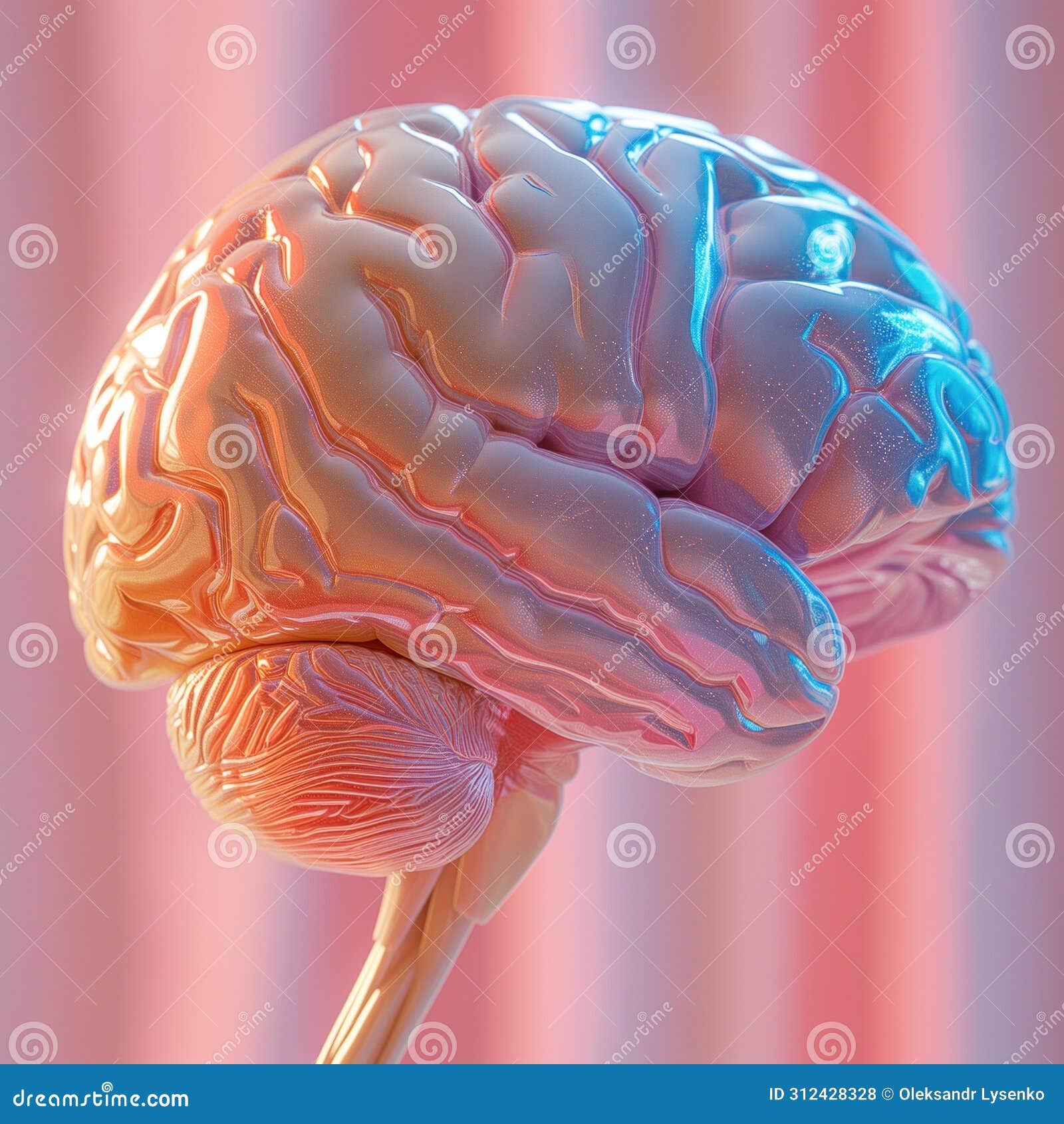 Human Brain 3d Light Colored Stock Illustration - Illustration of ...