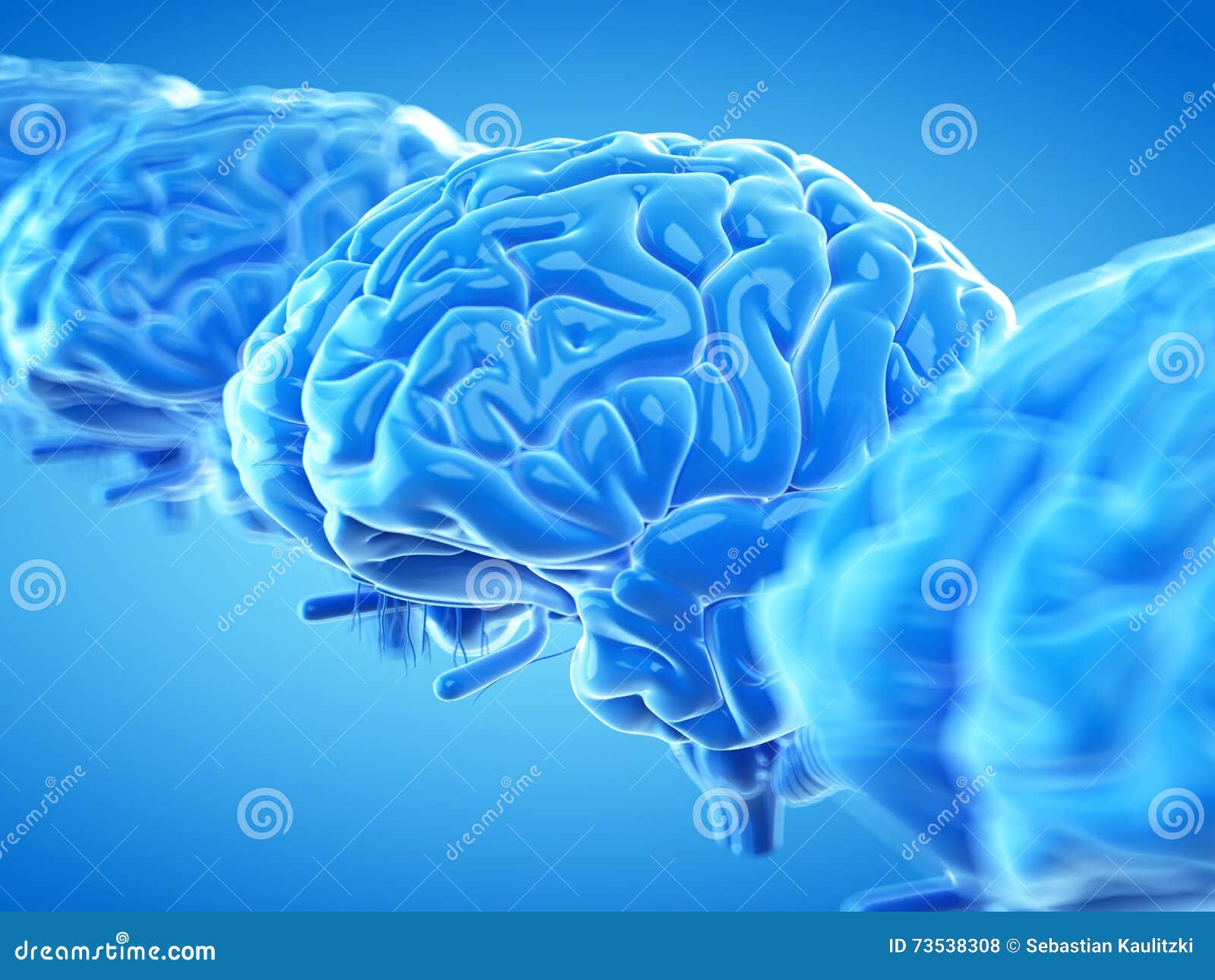 The human brain stock illustration. Illustration of health - 73538308