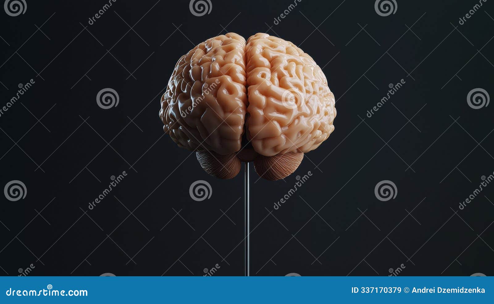 Human Brain in 3D Rendering in a Sci Fi Themed Laboratory. Big Data ...