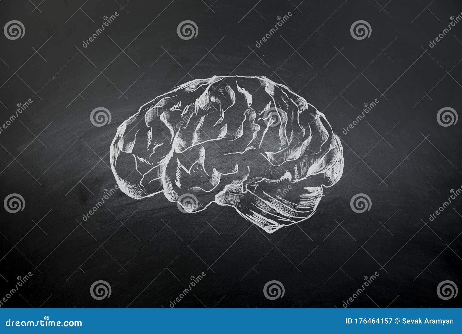 Human Brain on Dark Background Stock Image - Image of human, depression ...