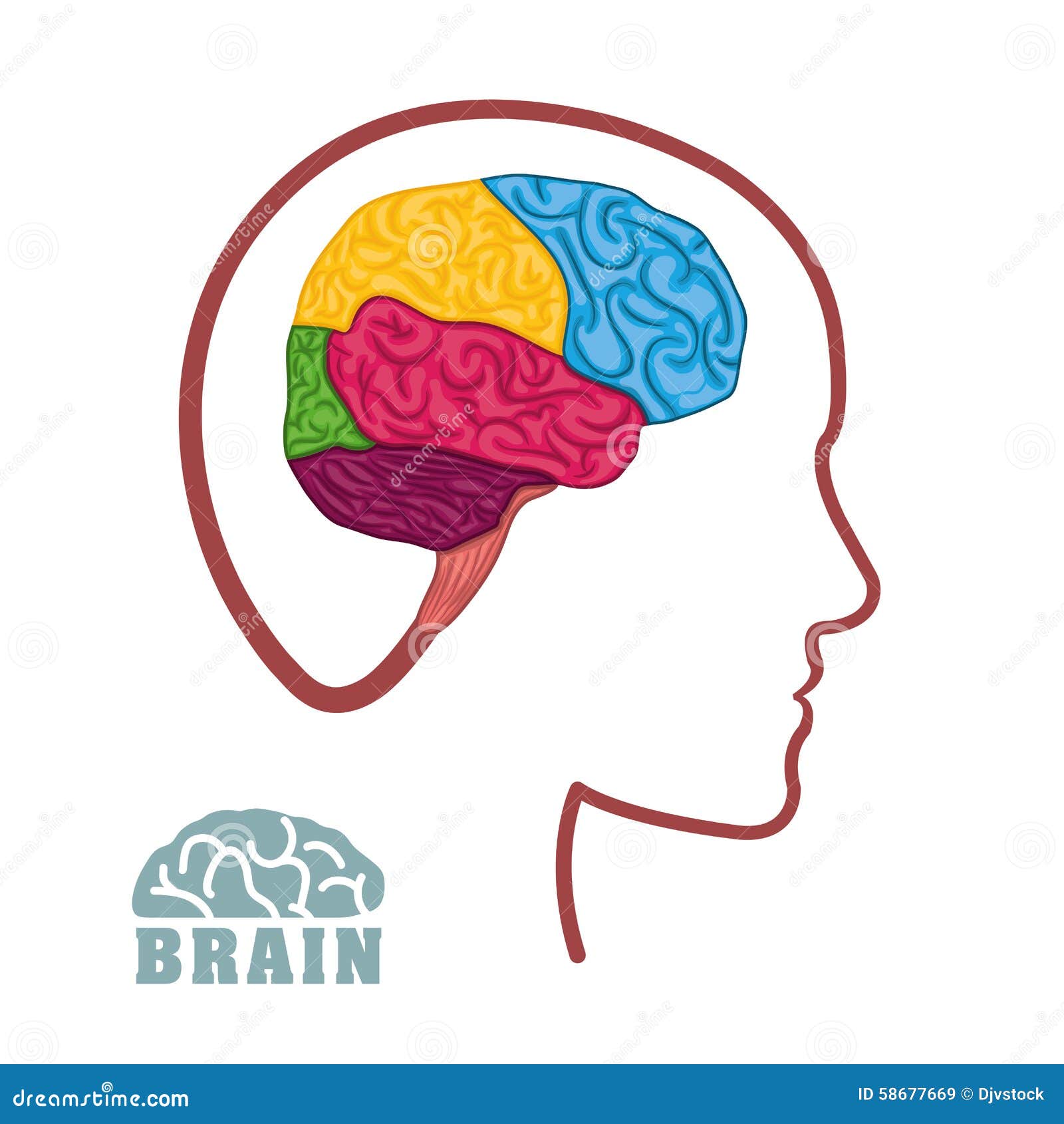 Human brain design. stock vector. Illustration of brain - 58677669