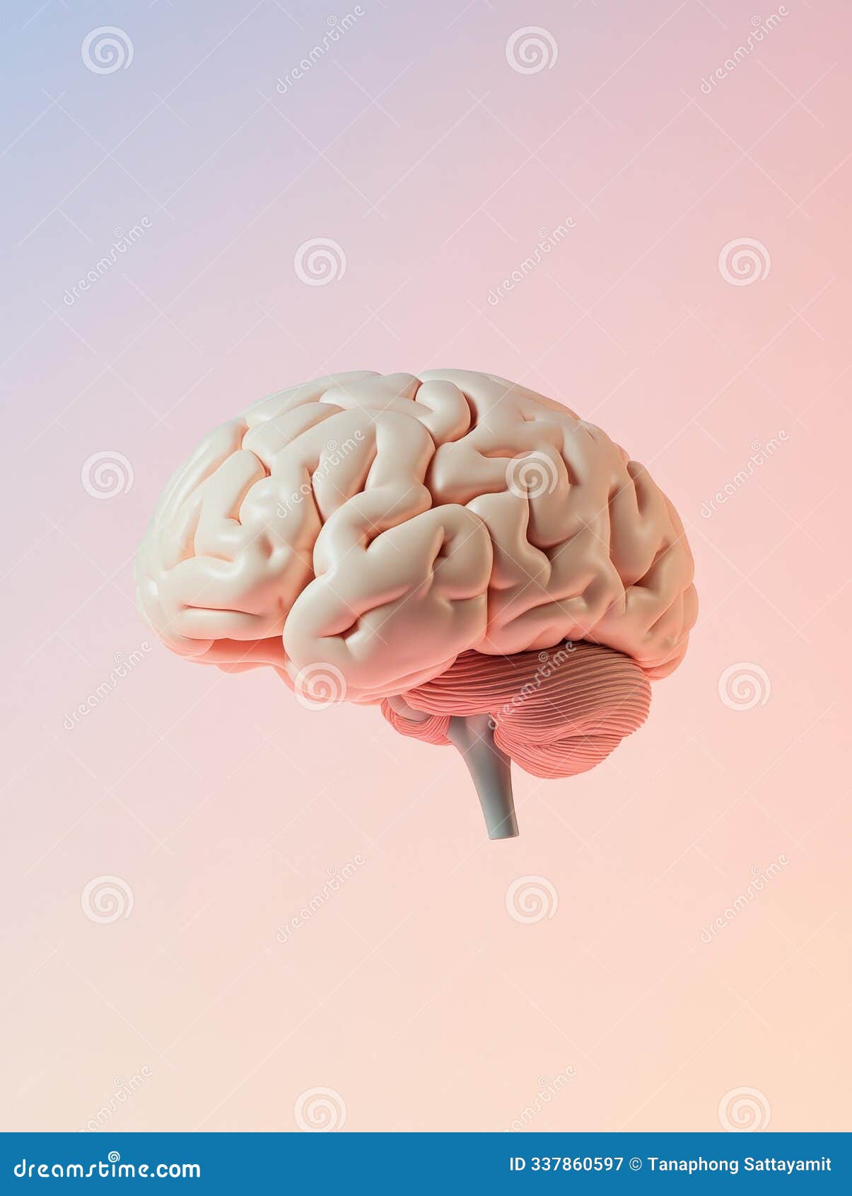 The Human Brain a Detailed 3D Model Symbolizing Intelligence Cognition ...