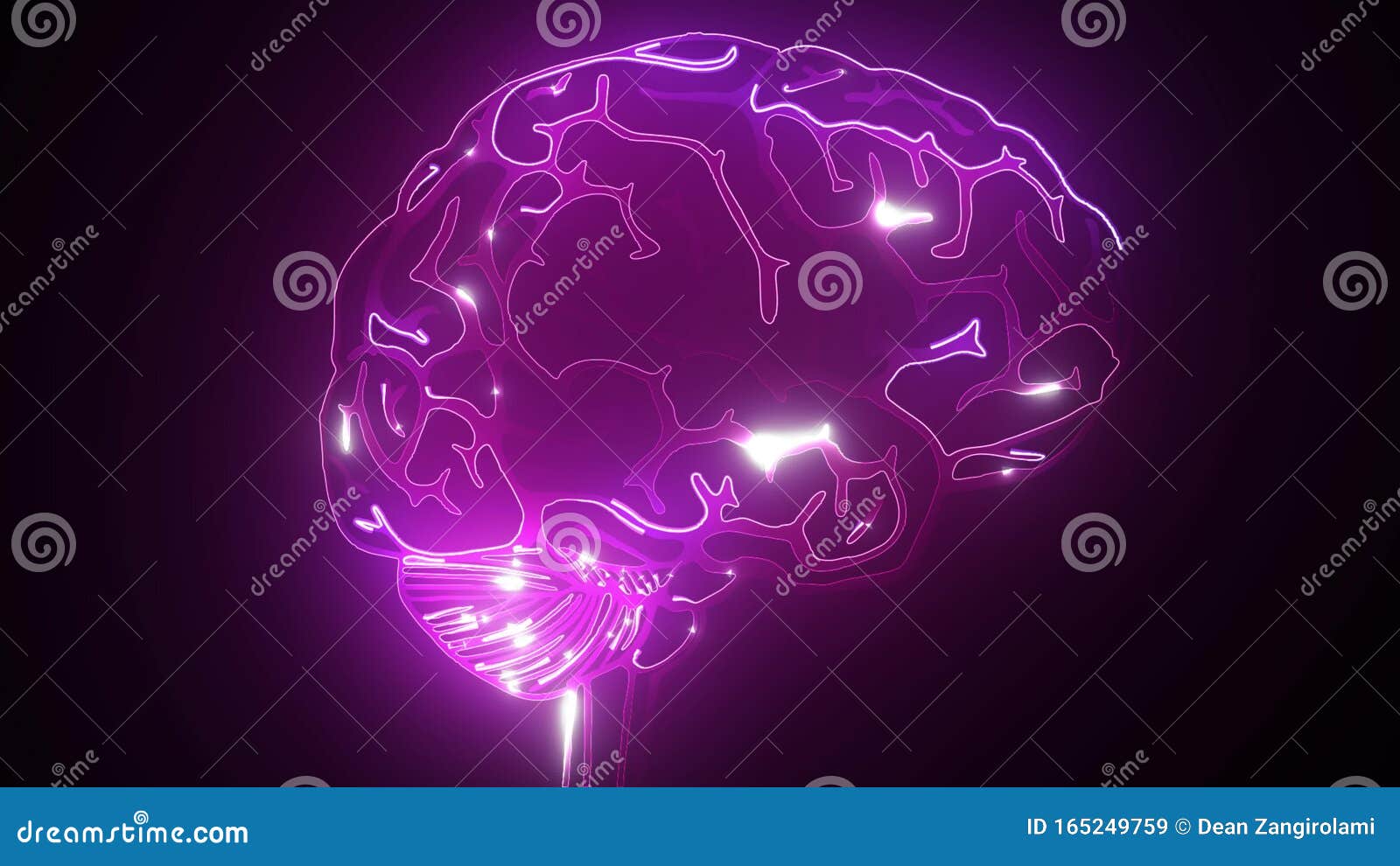 Human Brain Laser Animation Video Stock Video - Video of education ...