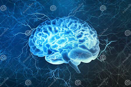 Electrical Activity of the Human Brain Stock Photo - Image of ...