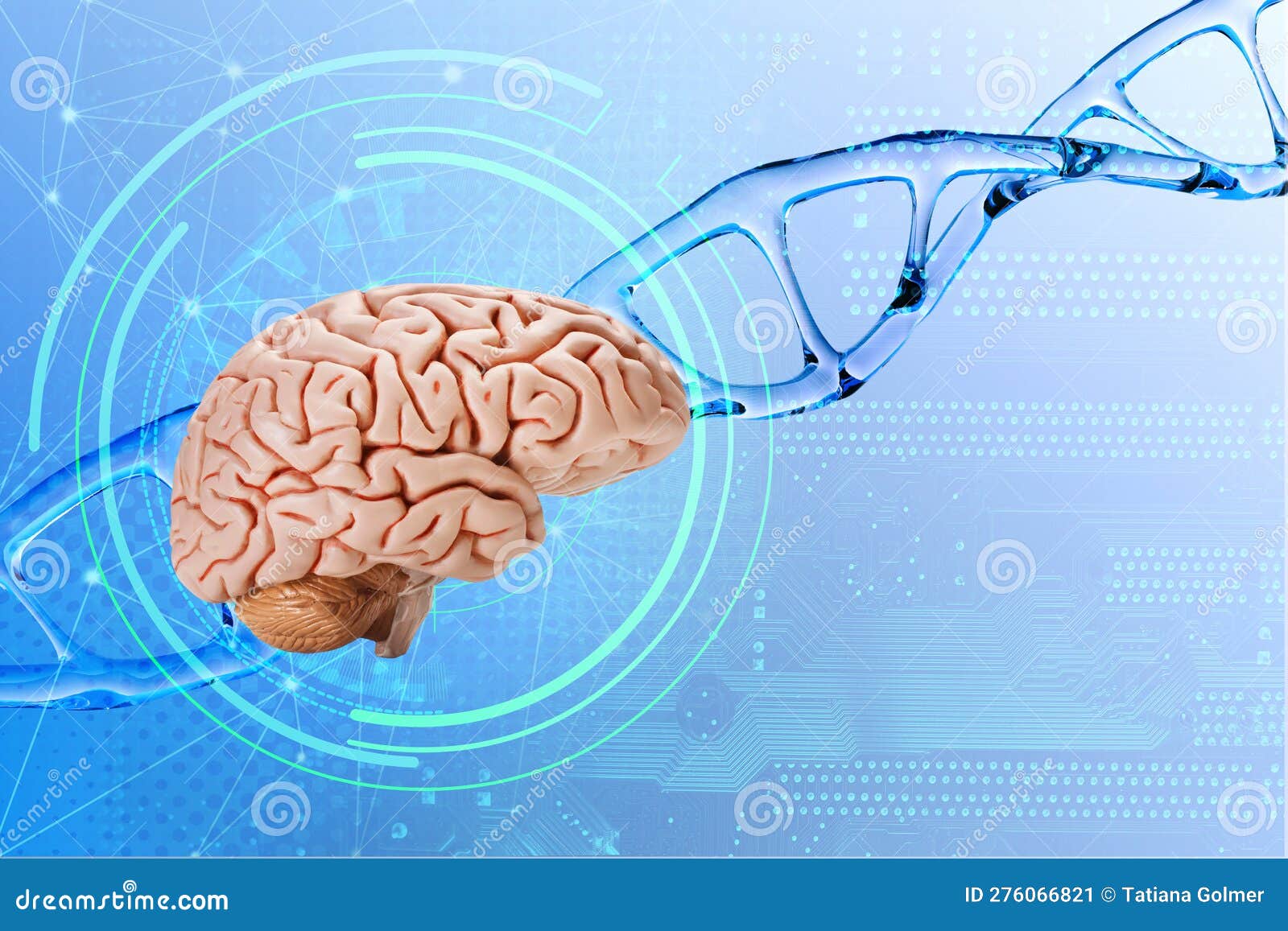 Human Brain On DNA Helix Background, Deoxyribonucleic Acid, Nucleic ...