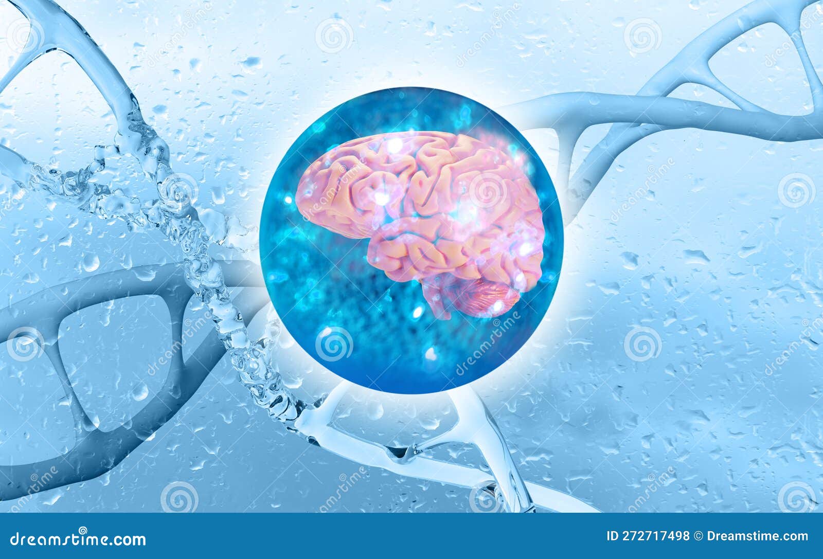 Human Brain, Dna Structure with Glass Helix on Blue Background ...