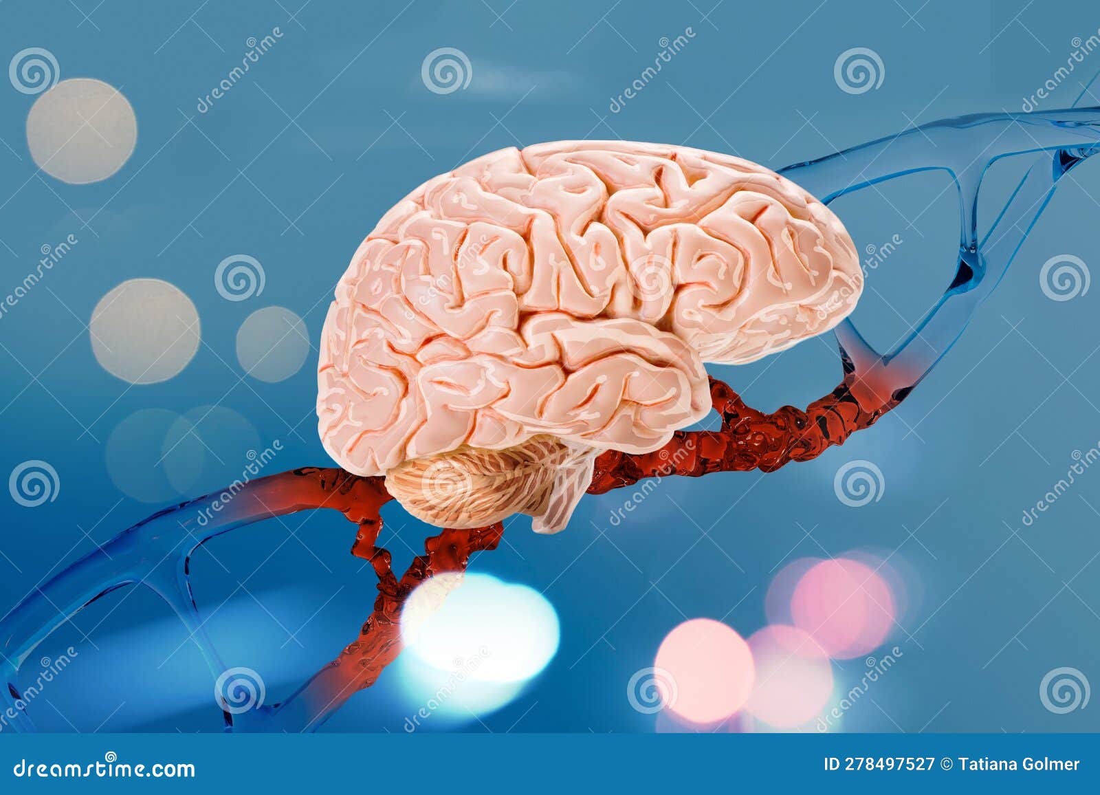 Human Brain, Dna Structure Helix, Deoxyribonucleic Acid, Nucleic ...