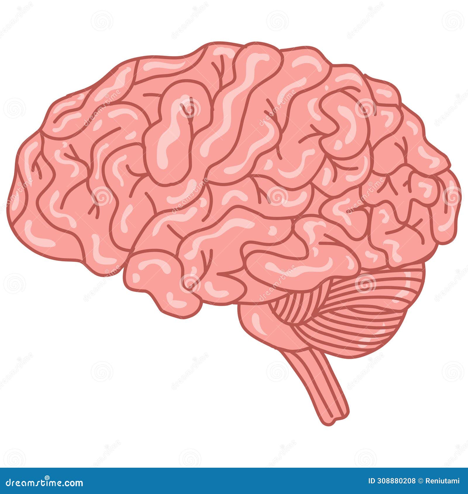 Human Brain Doodle Art Drawing Vector Illustration Stock Vector ...