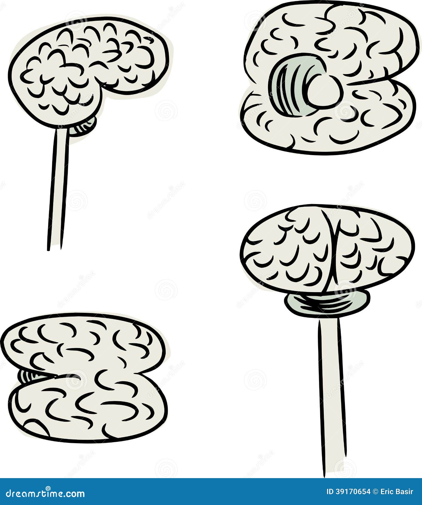 Human Brain Doodle stock vector. Illustration of organ - 39170654