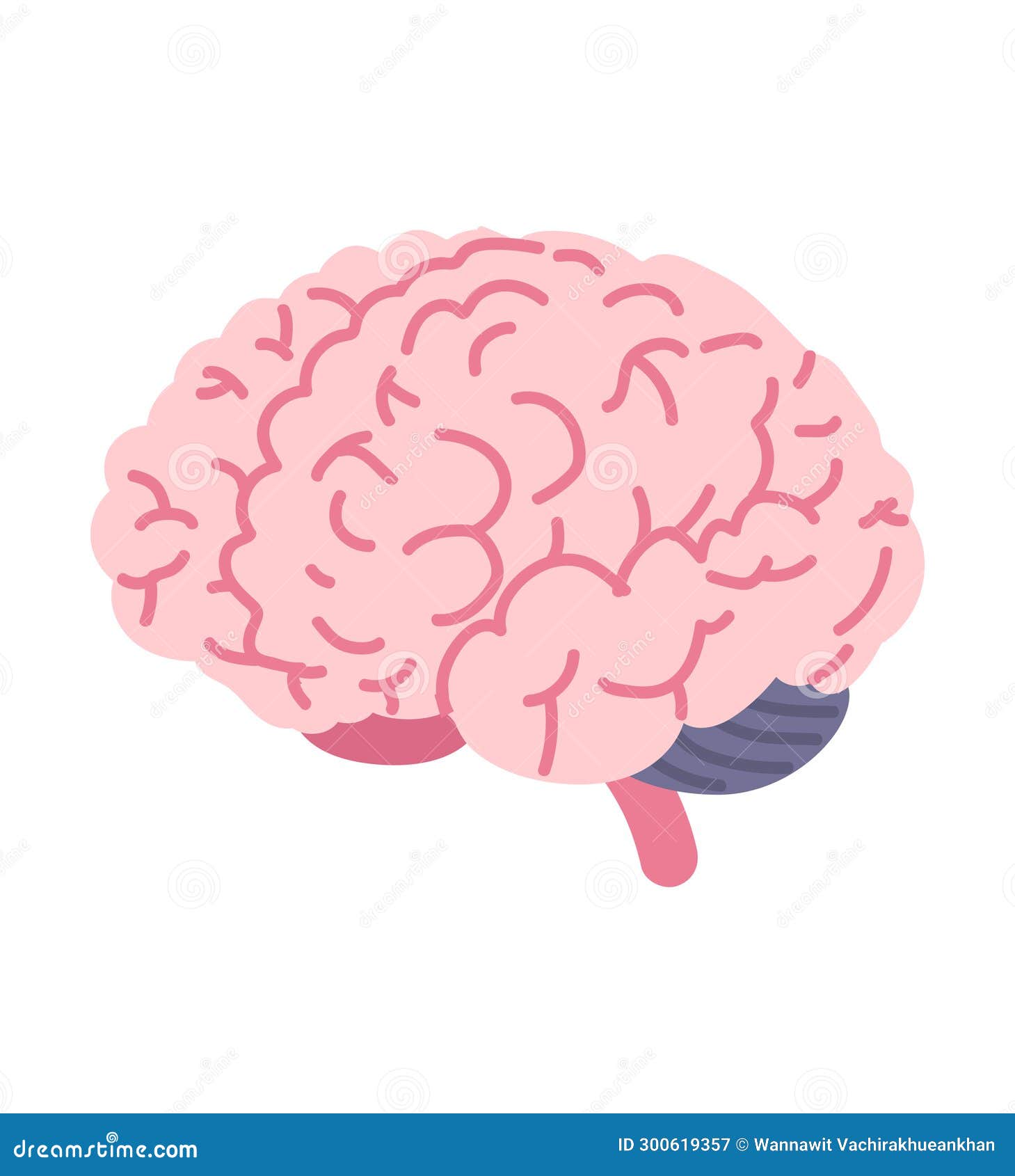 Human Brain Doodle Line Vector Stock Vector - Illustration of creative ...