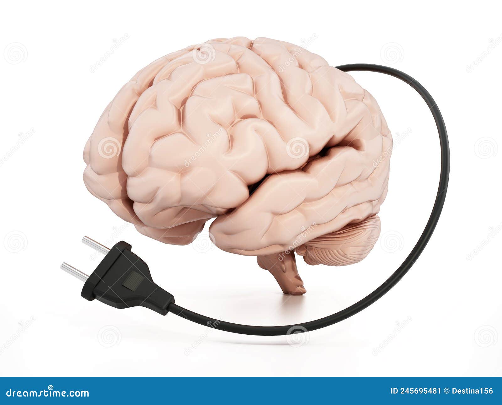 Human Brain with Electric Plug. 3D Illustration Stock Illustration ...