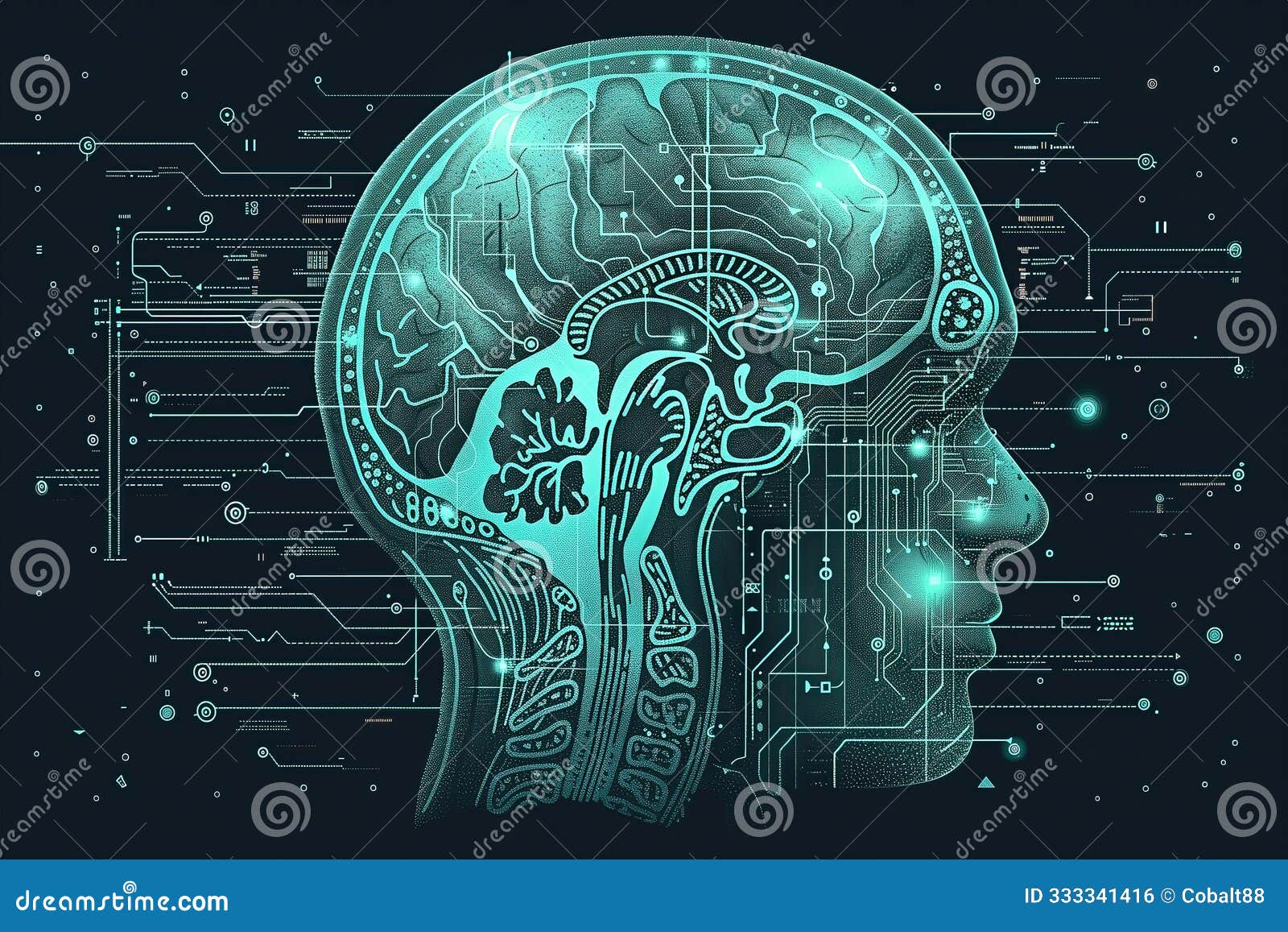 Electrical Activity In The Neuronal Network And Synapse Of The Human ...