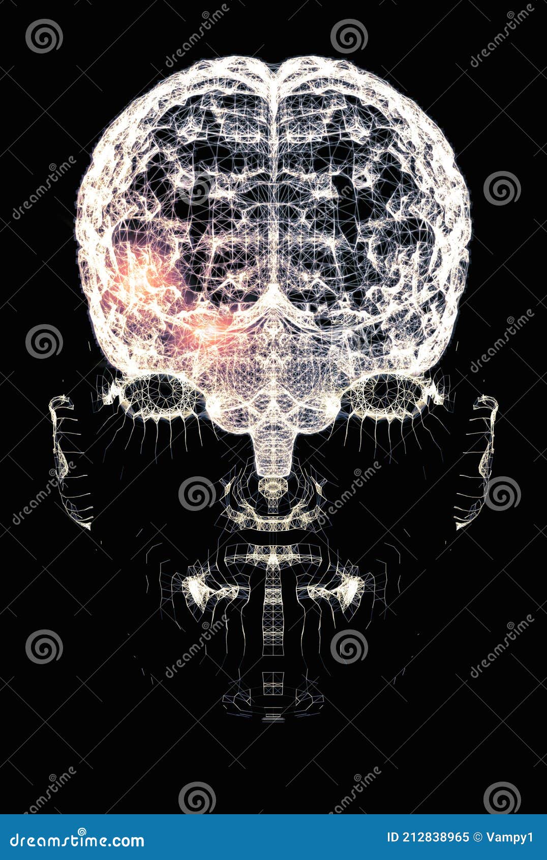 Human Brain and Face Viewed from the Front. X-rays, Particles Stock ...