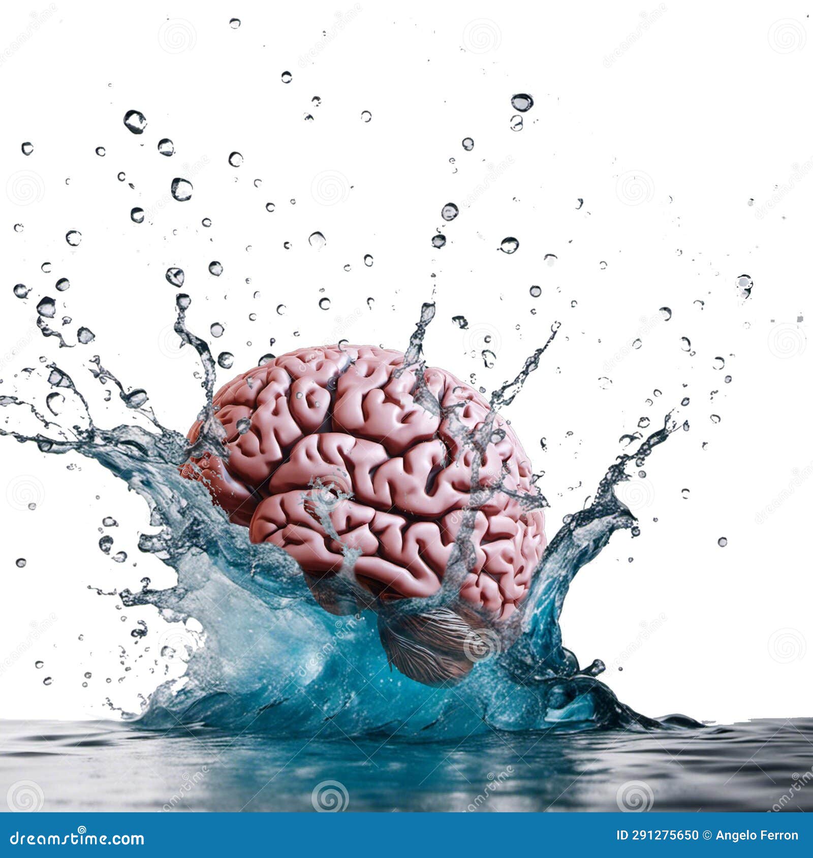 Human Brain Falls into the Water- Stock Photo - Image of care ...