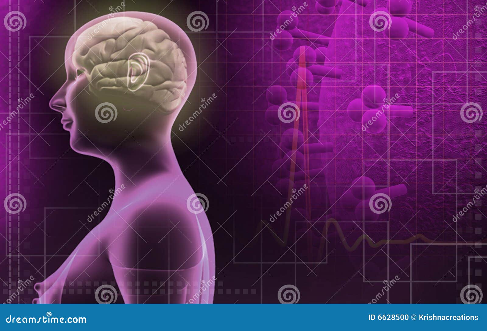 Human Brain in a Female Human Body Stock Illustration - Illustration of ...