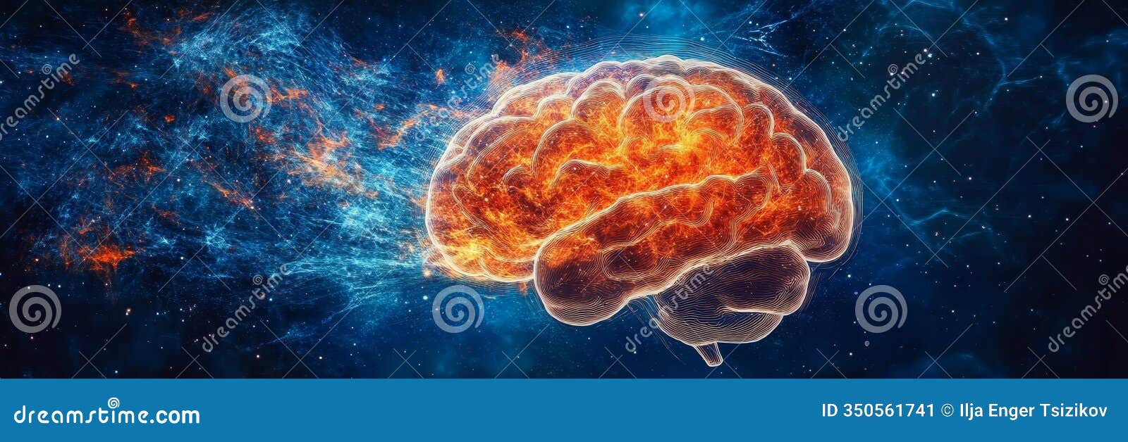 Human Brain On Fire Symbolizing Power, Potential, Energy And Creativity ...
