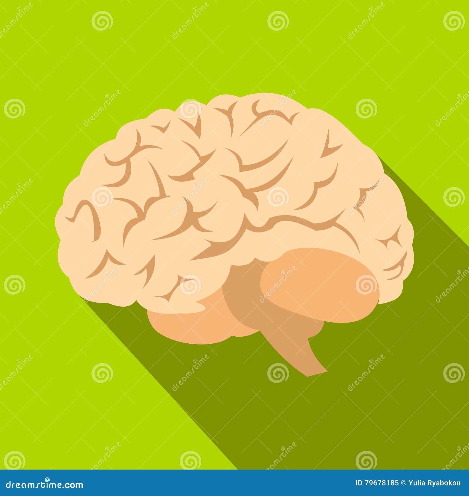 Human Brain Flat Icon Shadow Stock Illustrations – 1,167 Human Brain ...