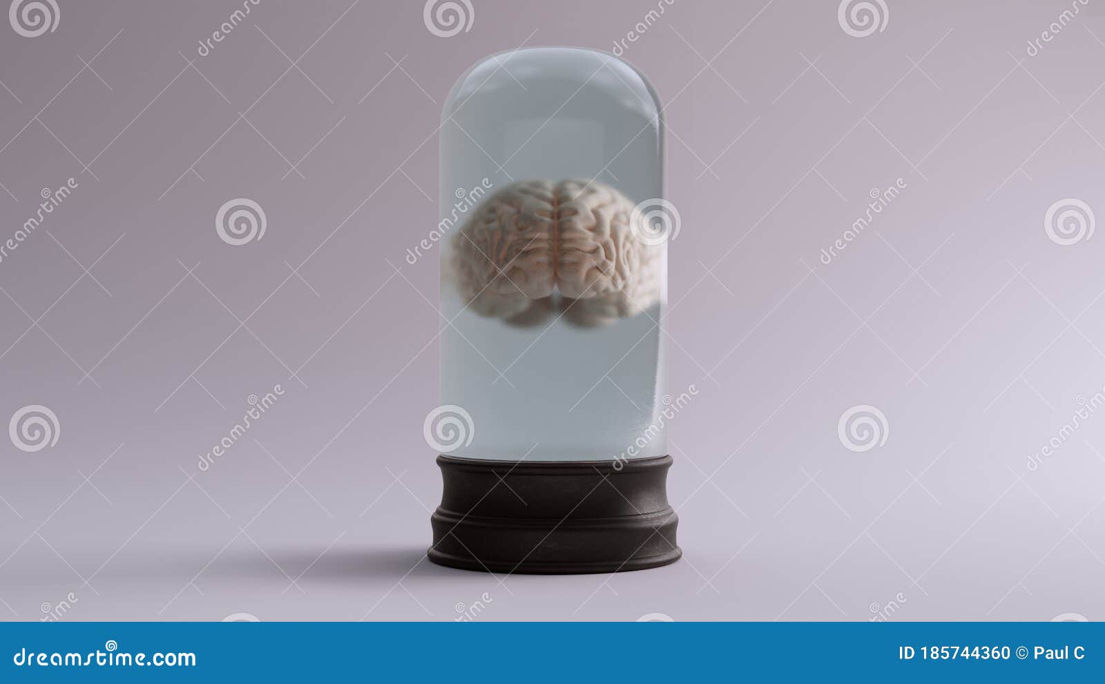 Human Brain Floating in a Liquid in a Bell Jar Stock Illustration ...