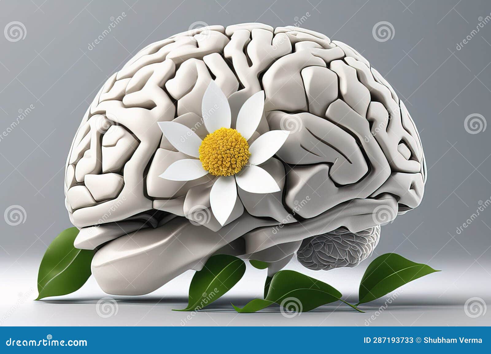 Human Brain and Flower, 3 D Illustration Stock Illustration ...