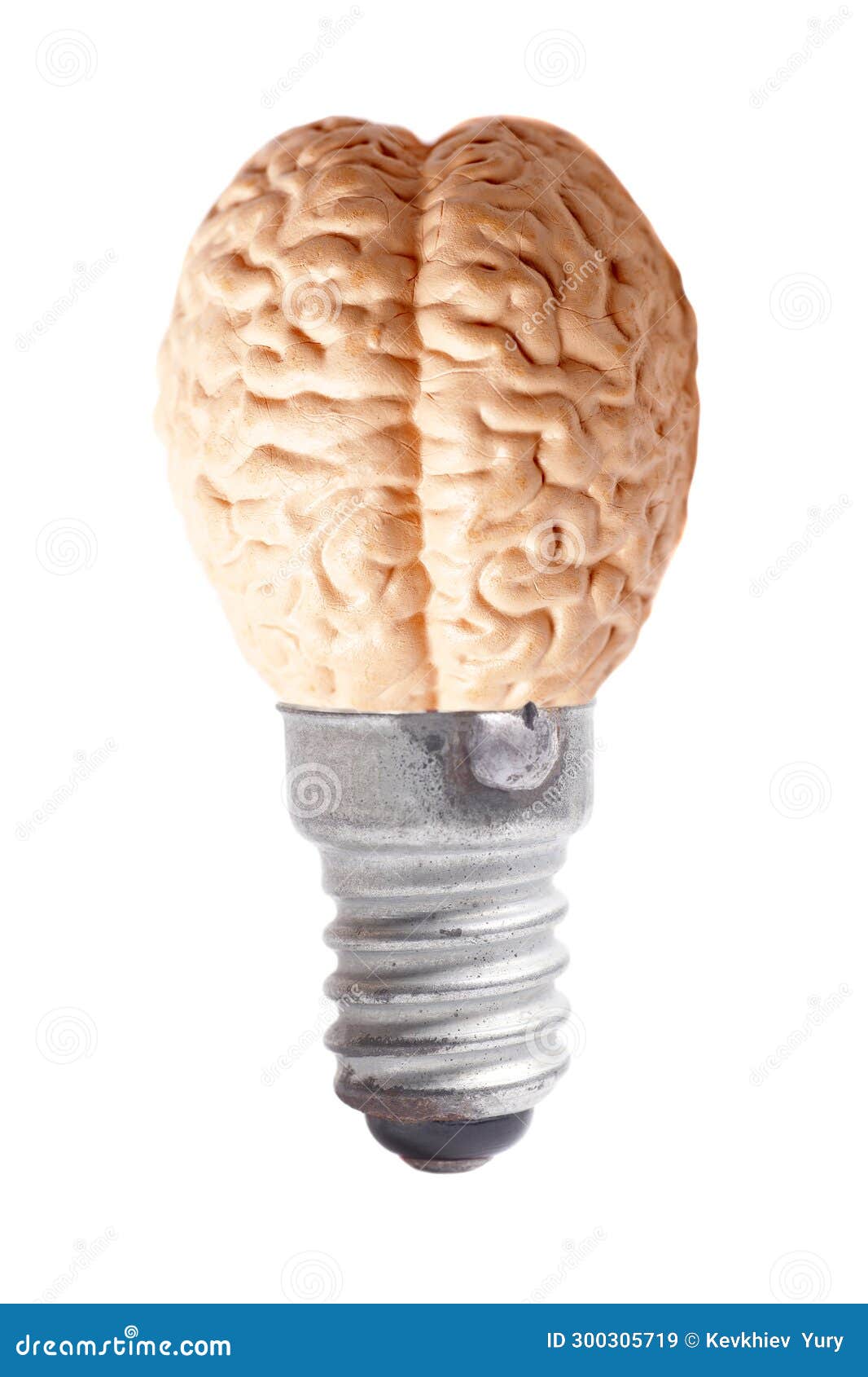 Human Brain in Form of Light Bulb Stock Image - Image of central, human ...