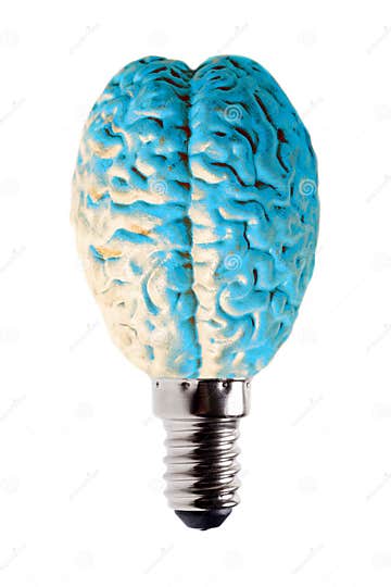 Human Brain in Form of Light Bulb Stock Photo - Image of temporal ...
