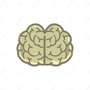Human Brain Front View Illustration Stock Vector - Illustration of ...