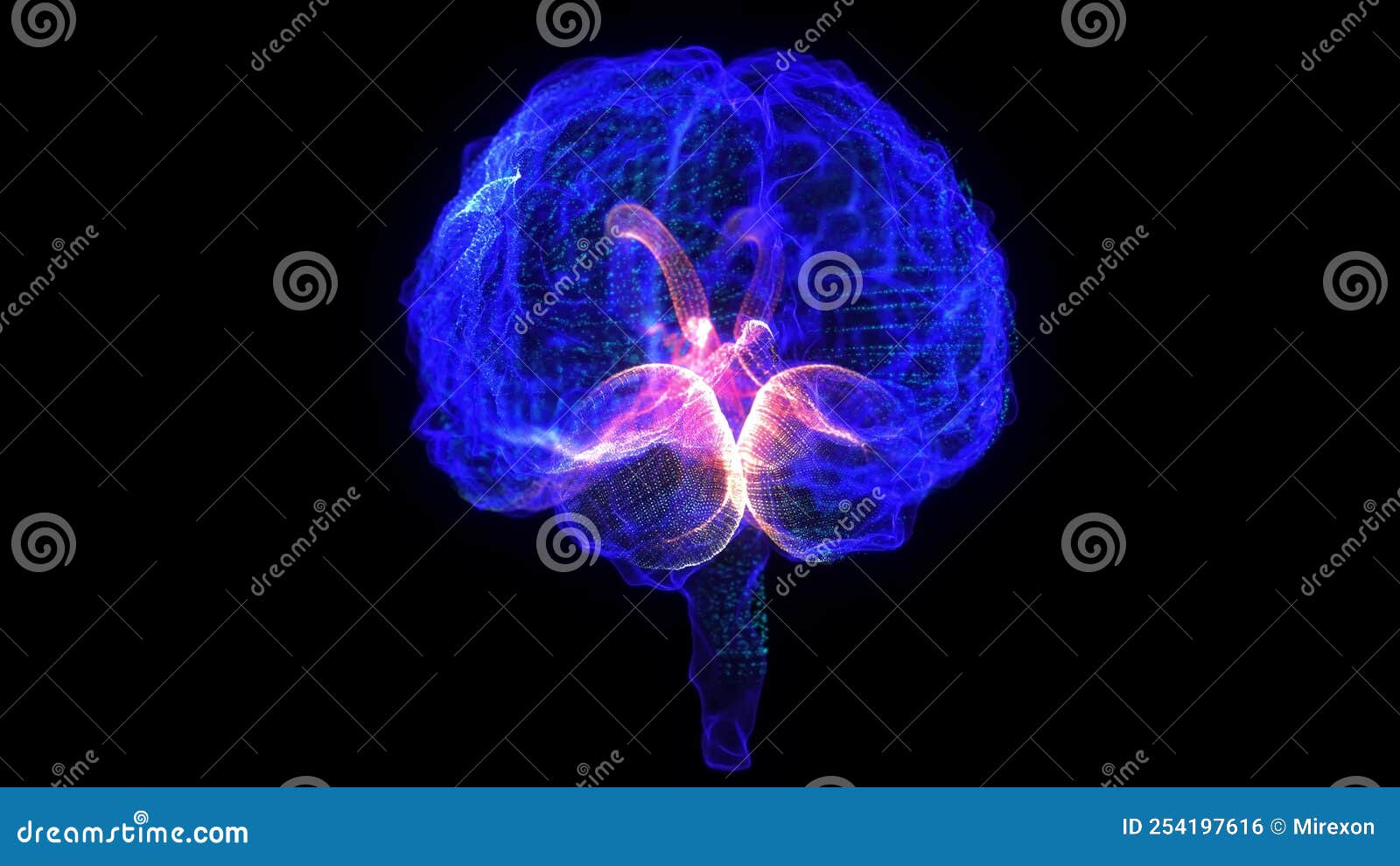Human Brain. Glowing Blue Light Line of Human Brain Model Stock Footage ...