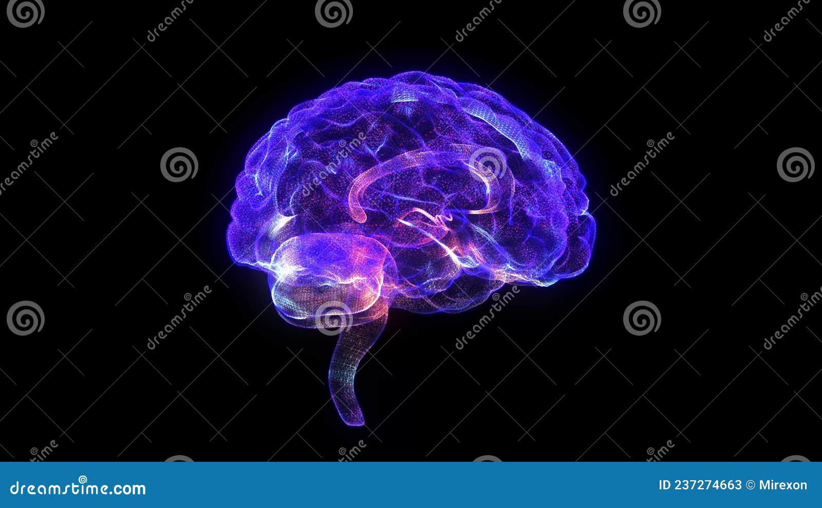 Human Brain. Glowing Blue Light Line of Human Brain Model Stock Video ...