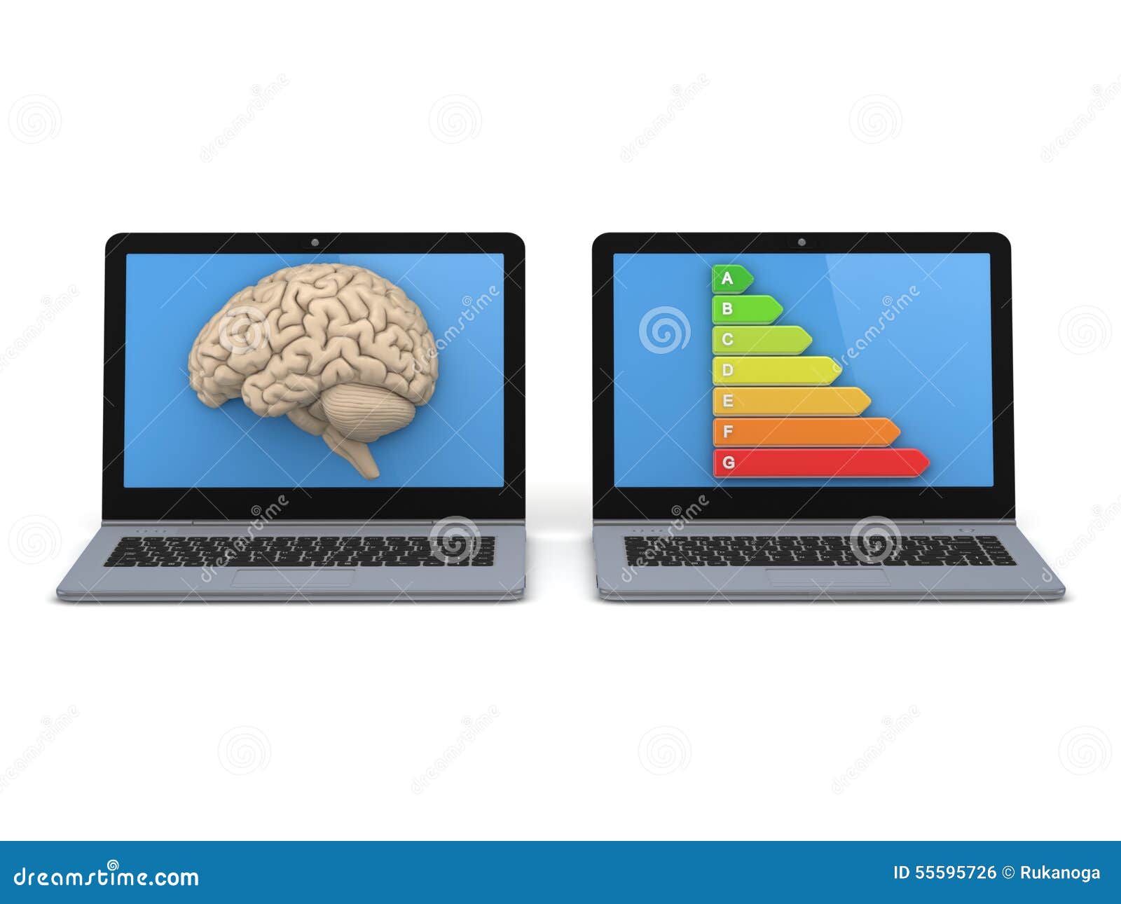 Human Brain and Graph of Energy Efficiency Stock Illustration ...