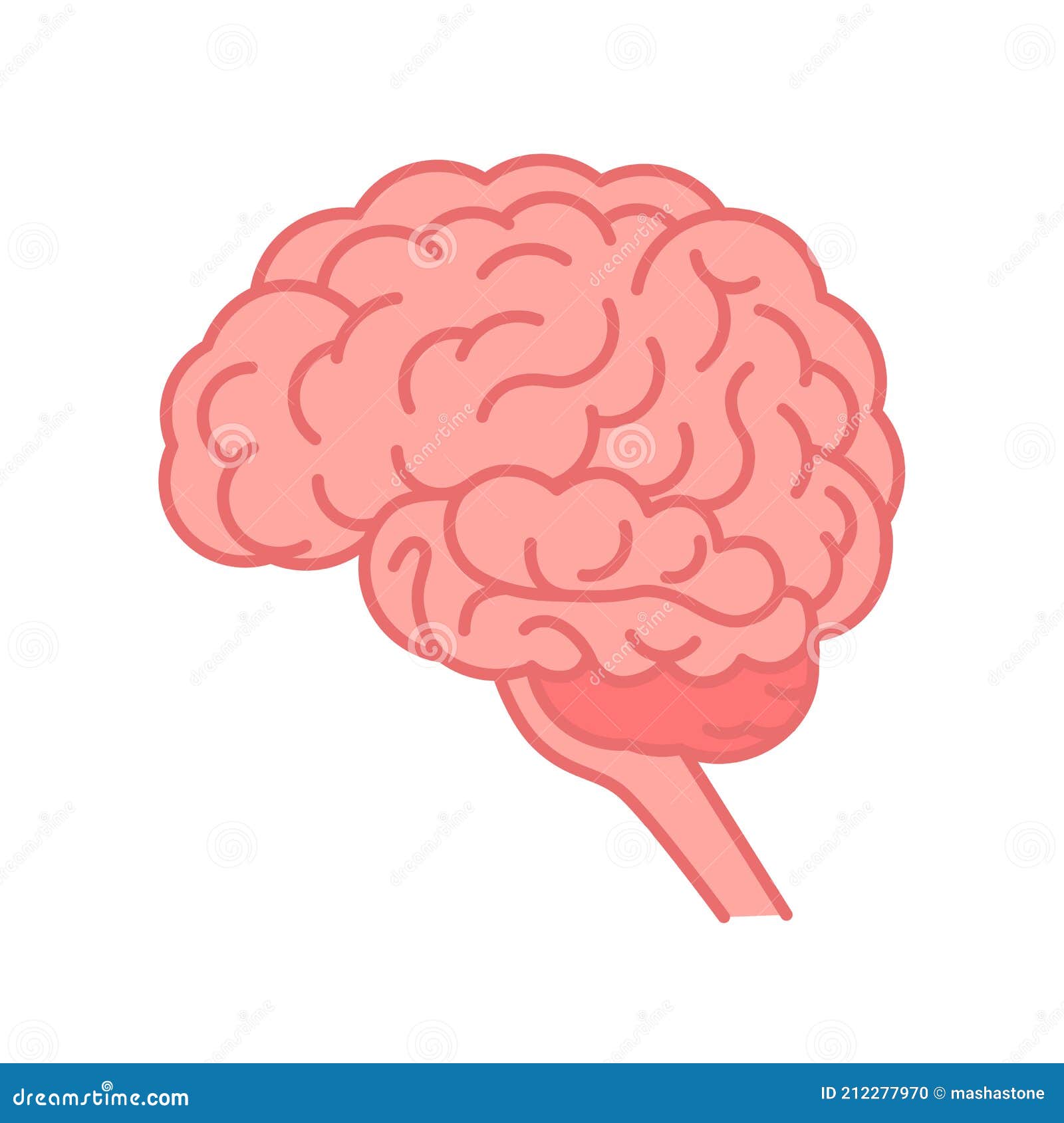 Human Brain Graphic Illustration. Flat Vector Isolated Stock Vector ...