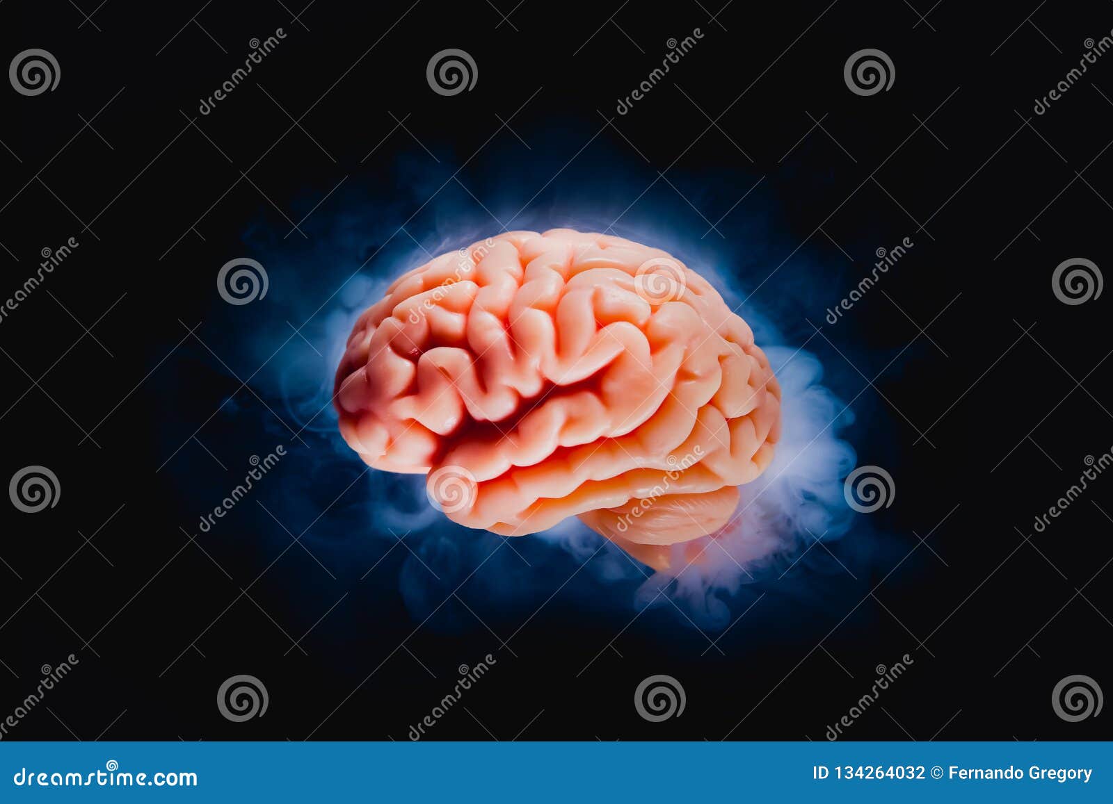 Human Brain On A Gray Background Royalty-Free Stock Image ...