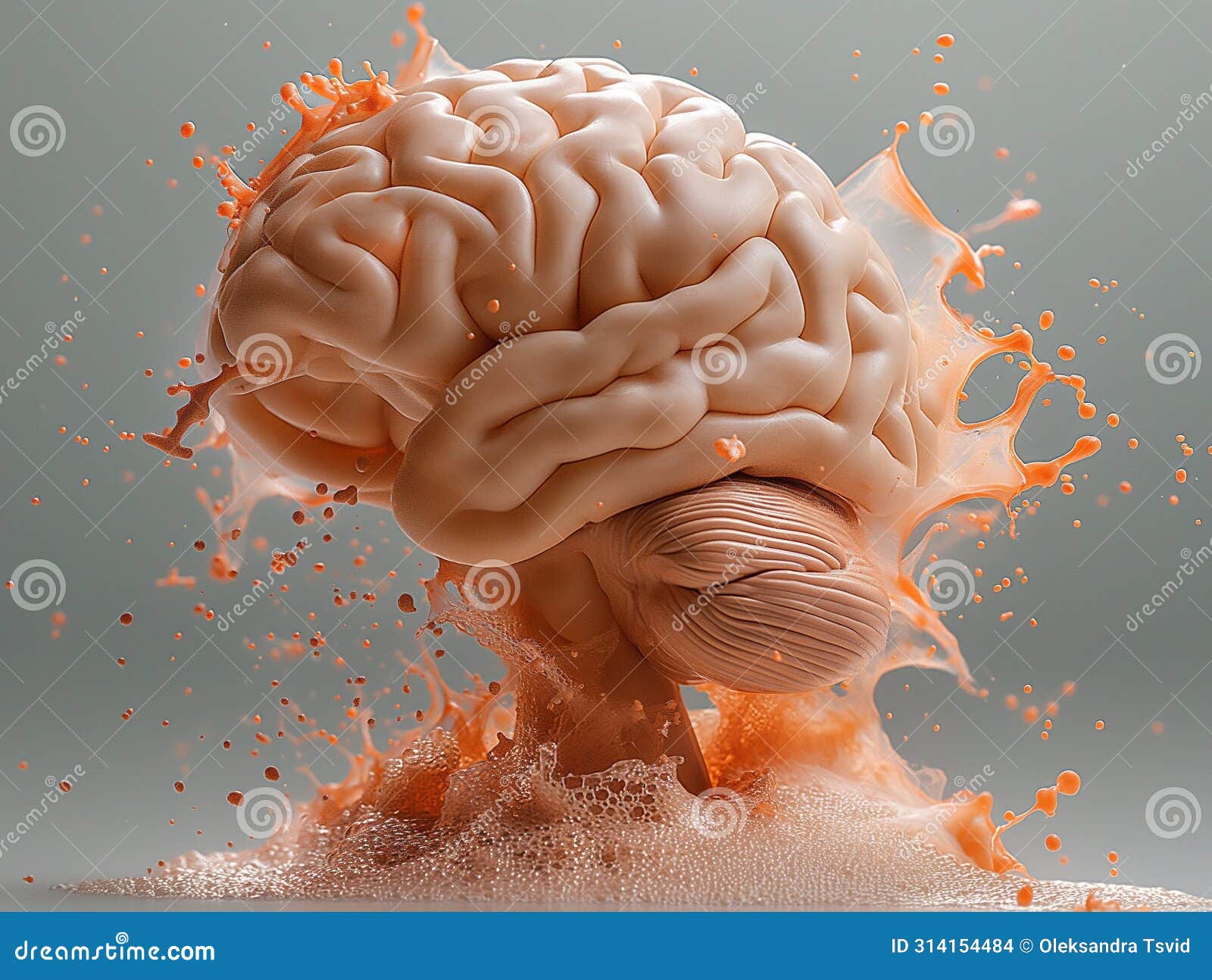 Human Brain on a Gray Background, Concept with Brain Exploding Ideas ...