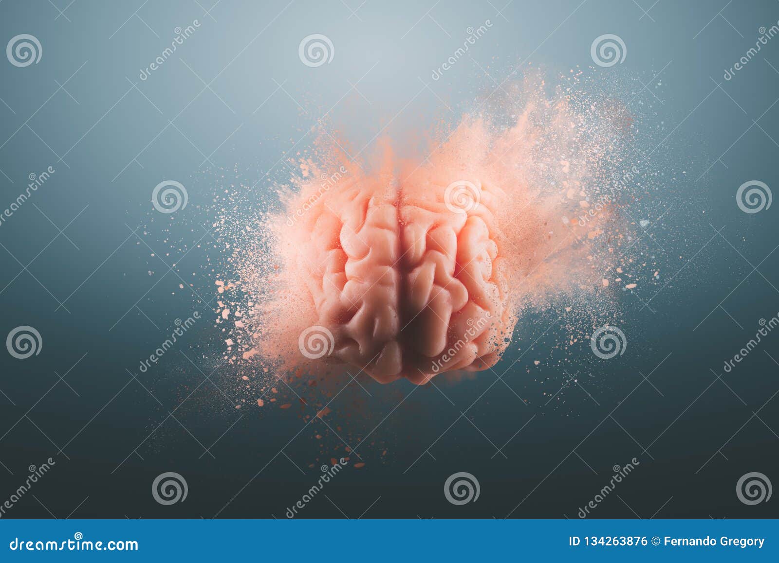 Human Brain on a Gray Background Stock Photo - Image of ideas, creative ...