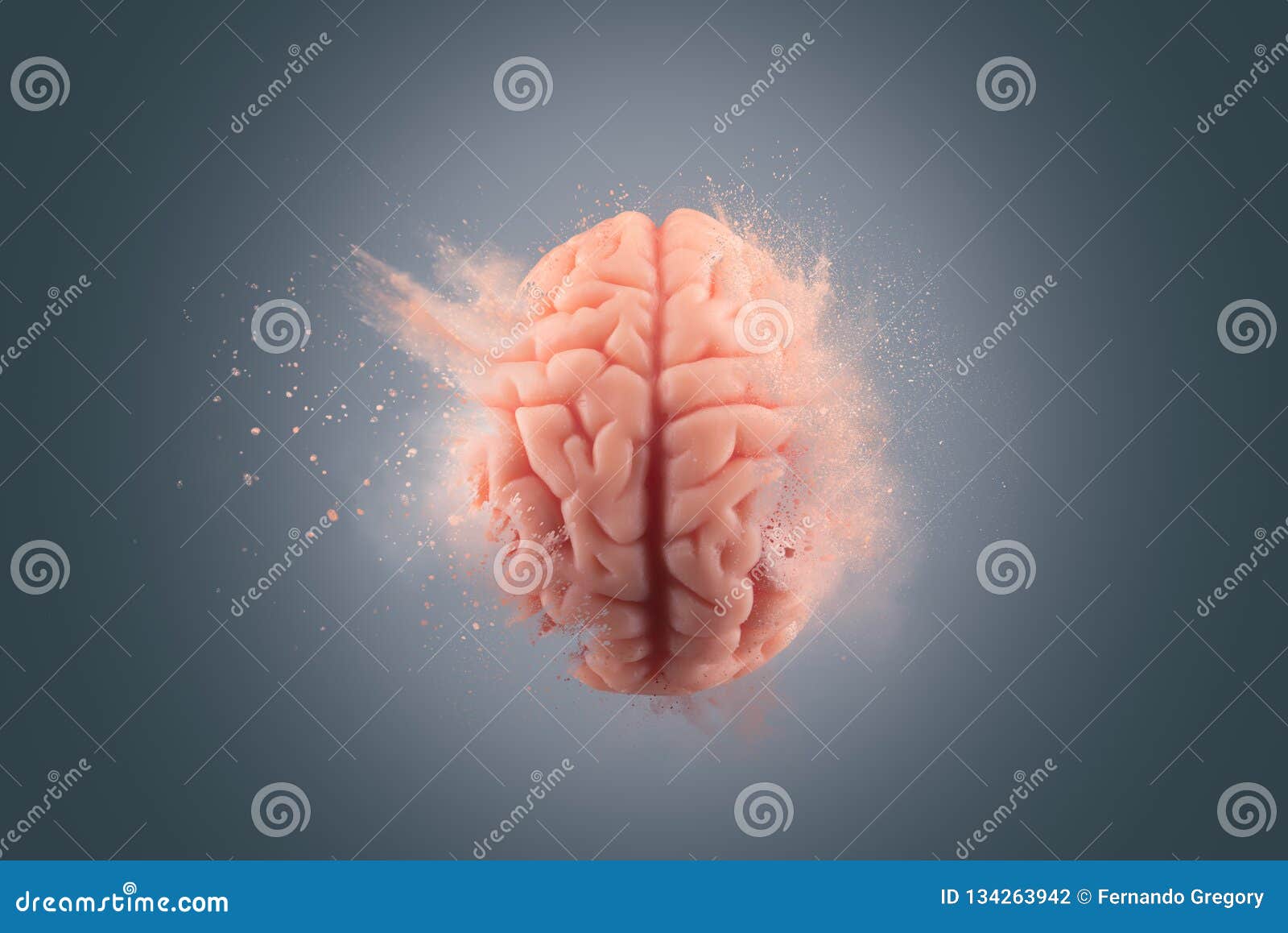 Human Brain on a Gray Background Stock Photo - Image of intelligence ...