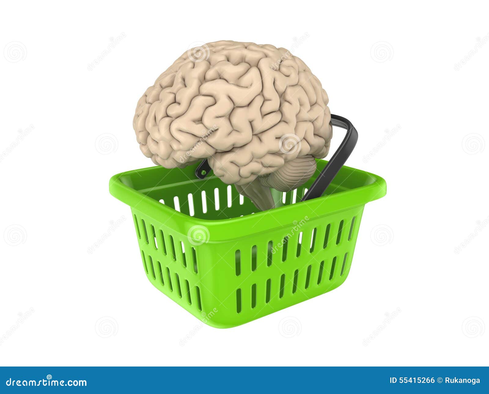 Human Brain at Green Basket Stock Illustration - Illustration of ...
