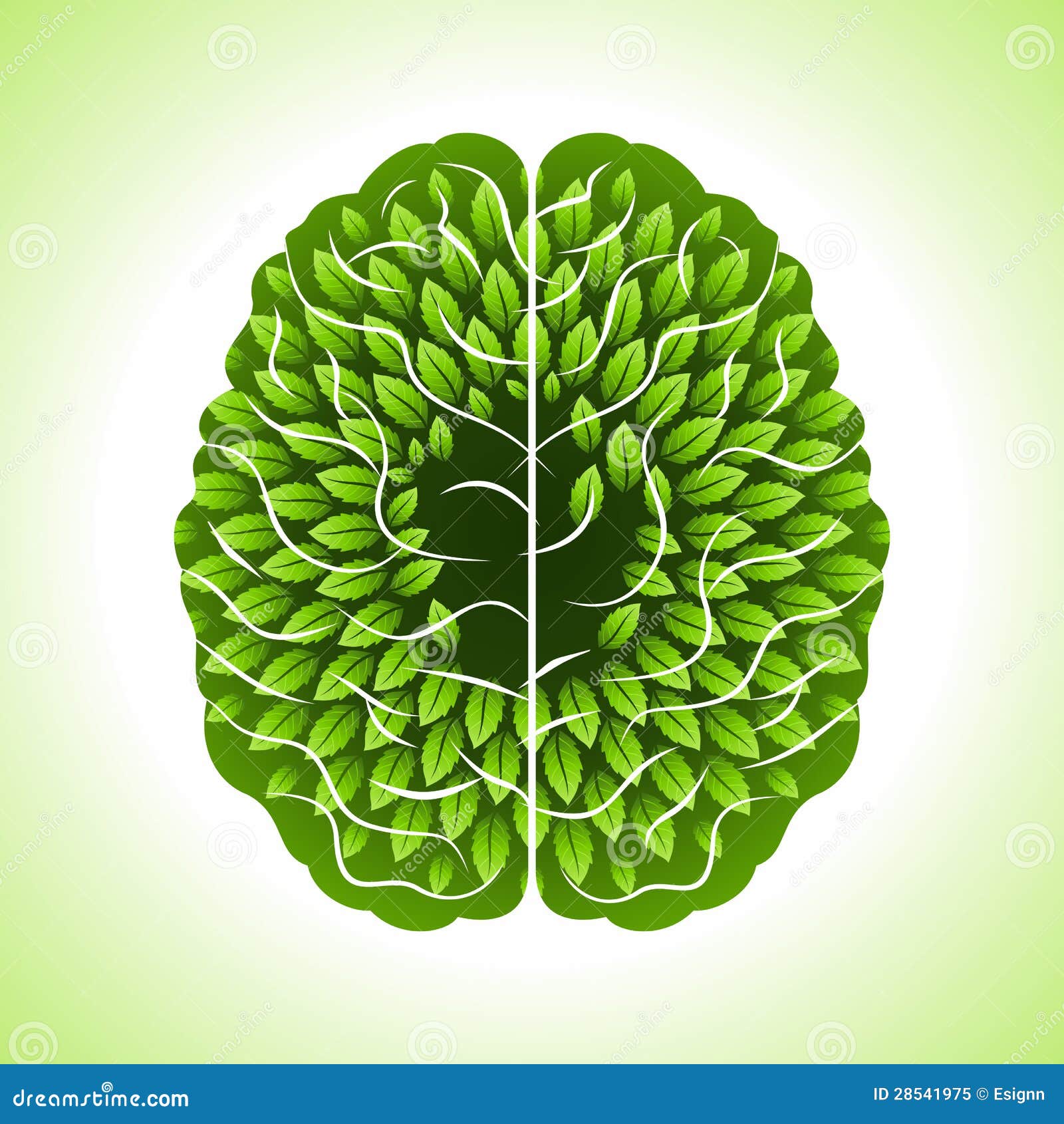 Human Brain, Green Thoughts Stock Vector - Illustration of life, memory ...